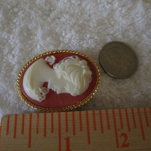 Unbranded | Jewelry | Vintage Resin Cameo Brooch Pin Newer Piece | Poshmark